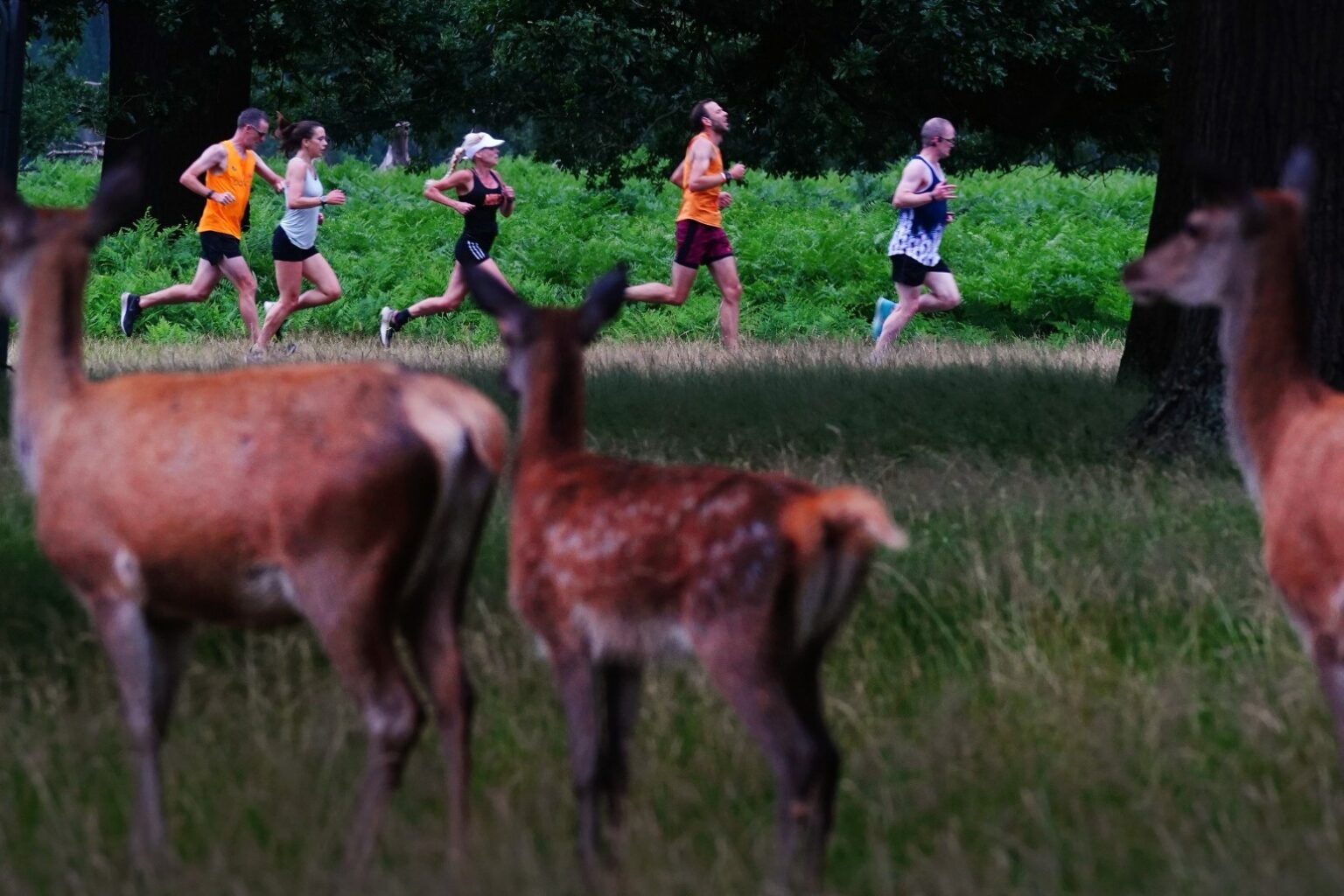 A Million Events Was Never In The Plan Says Parkrun Founder As ...