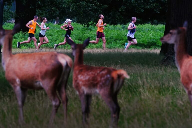 A Million Events Was Never In The Plan Says Parkrun Founder As ...